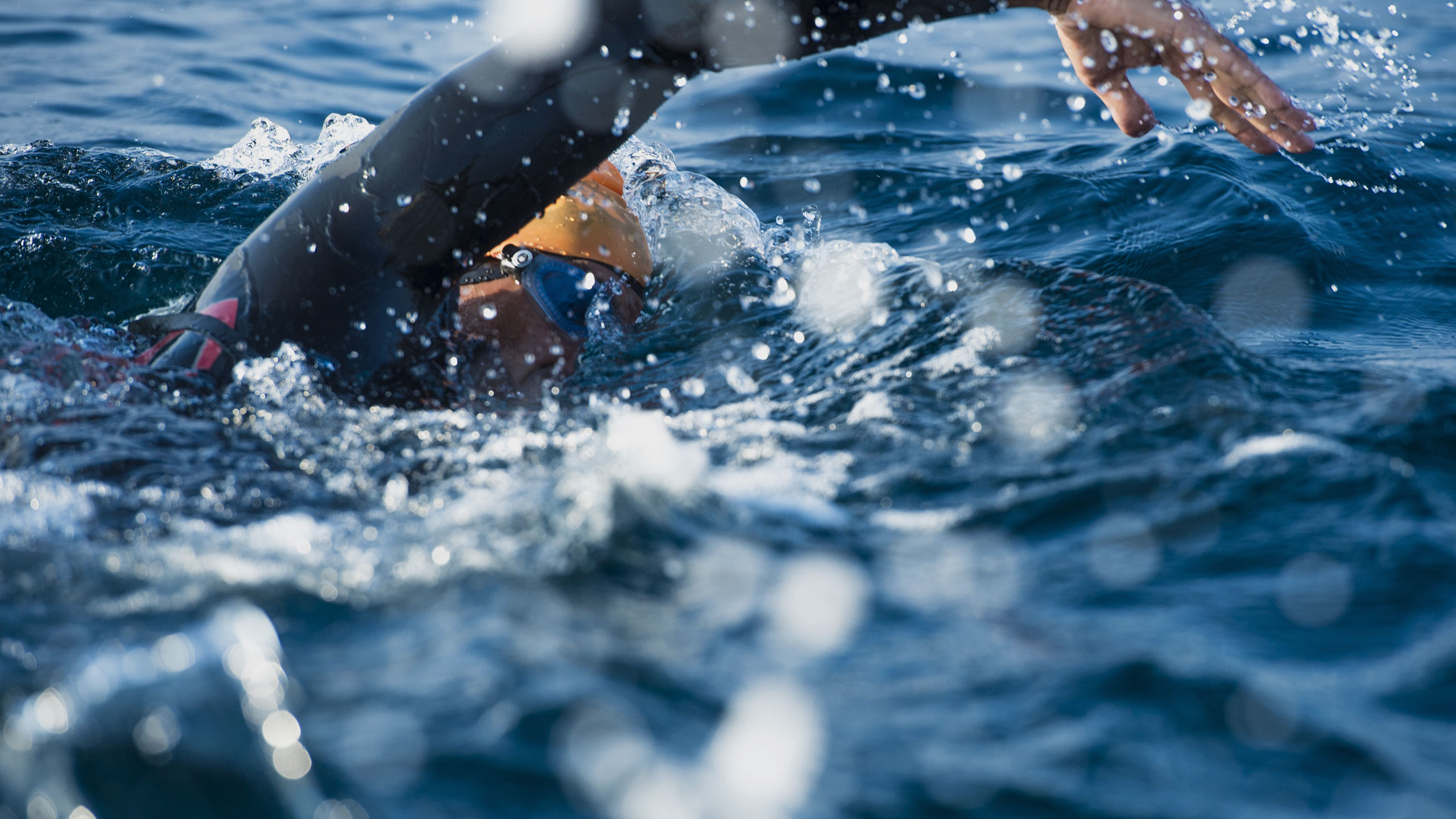 Will Girling – Athlete / Nutrition / Training / Coaching
